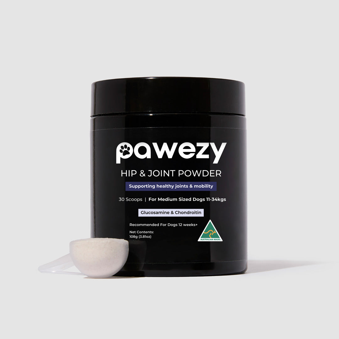 Hip & Joint Powder for Dogs | Mobility & Joint Support