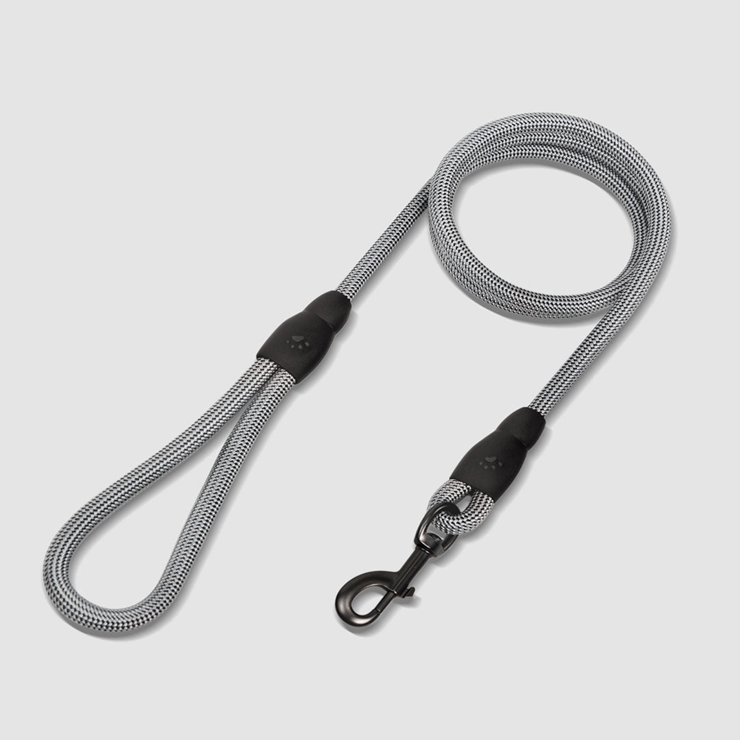 Flex Rope Leash